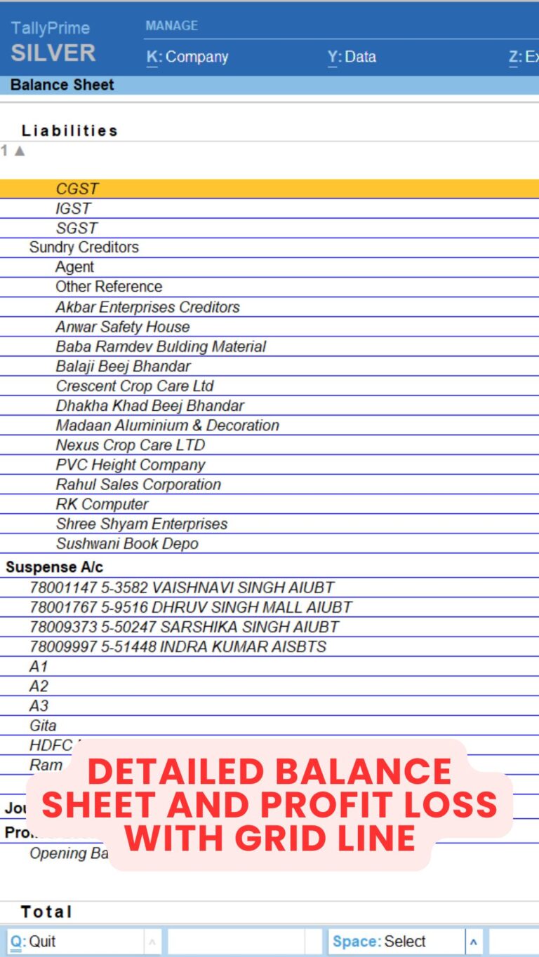 Detailed Balance Sheet and Profit Loss with Grid Line - GYANAMRIT TALLY ...