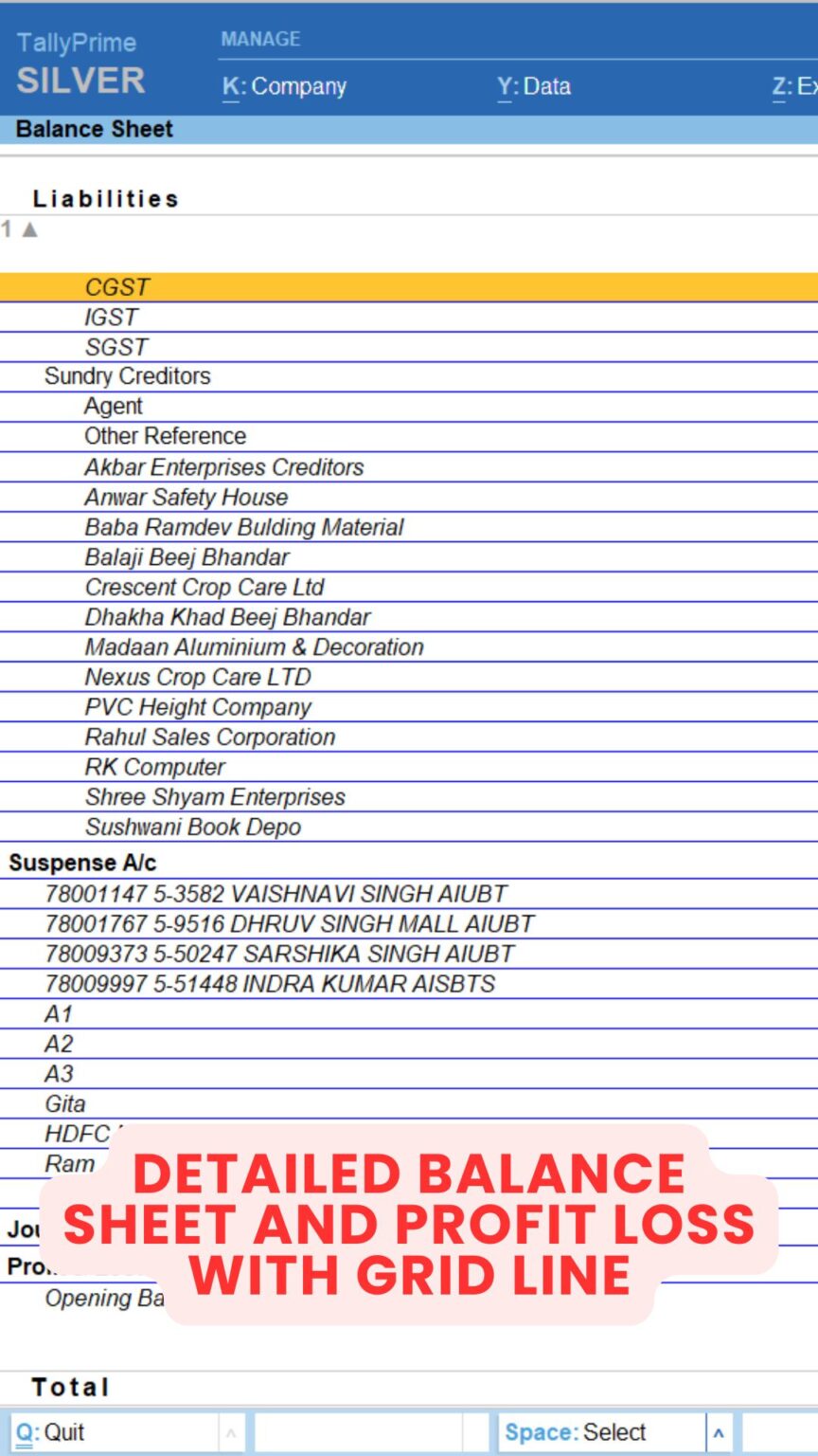 Detailed Balance Sheet and Profit Loss with Grid Line - GYANAMRIT TALLY ...